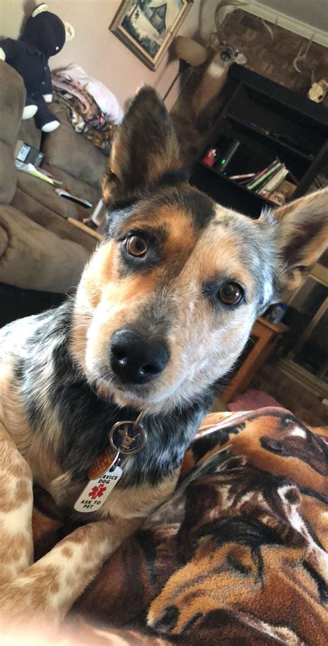 My Best Friend Scrolller