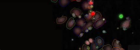 T Cell Killing Assays With Livecyte Phase Focus