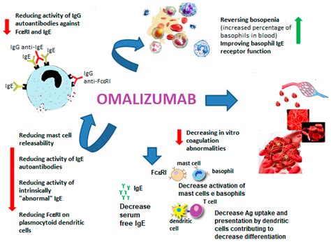 Sex Allergic Diseases And Omalizumab