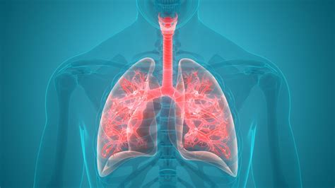 50 Facts About Shavkat Rakhmonov