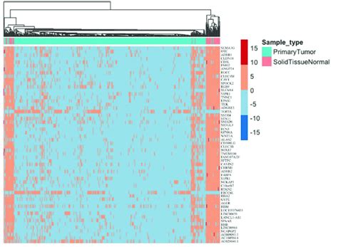 A Heatmap Representing The Expression Level Of All Genes Obtained By At Download Scientific