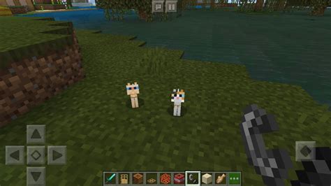 Found Two Kittens Rminecraft