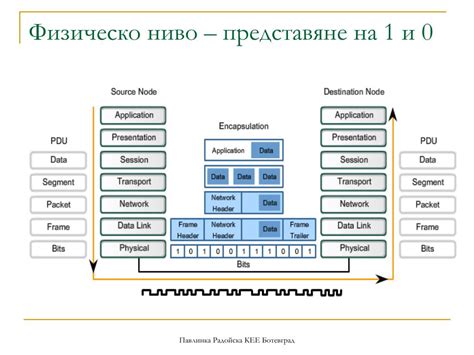 Ppt Ccna Exploration Network Fundamentals Powerpoint Presentation