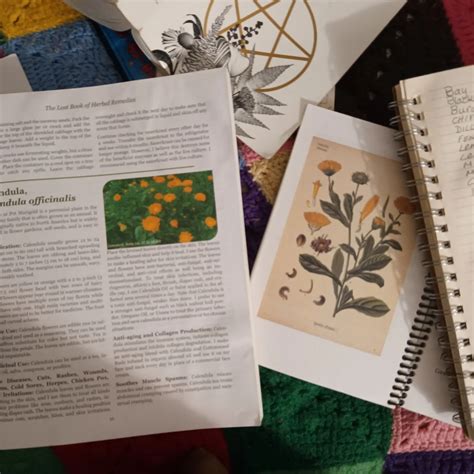 Drhea Dynamicdianerhea • Instagram Photos And Videos