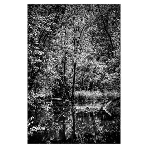 Springs And Creeks In Birmingham Al Nikon D810 16 35mm F4 Rnikon