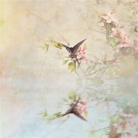 Swallowtail Over Water Stock Image Image Of Beautiful 39833781