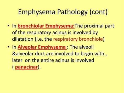 Respiratory System Dr Ekhlas A Ali Ppt Download