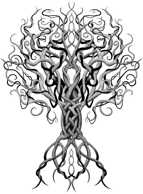 A Drawing Of A Tree With Many Branches