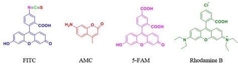 Fitcfam Labeling Nanjing Tgpeptide Co Ltd