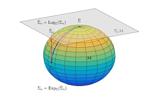 Illustration Of A Manifold M And The Corresponding Local Tangent Space Download Scientific