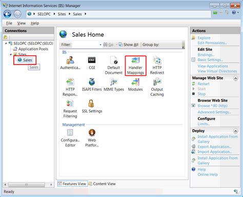 IIS