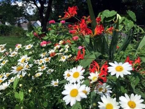 Beyond The Container Dean Hildreth Fine Gardening