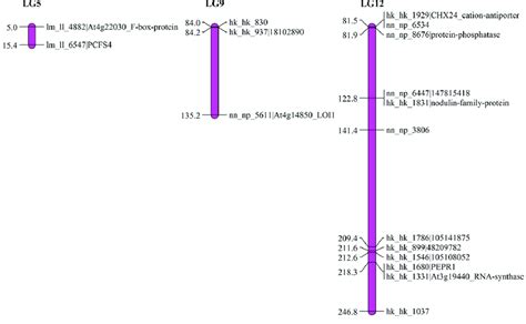 Diagrammatic Genomic Positions Of Several Significant Quantitative