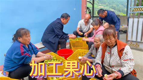 罗汉果市场泛滥，隔壁村都想要拿来加工，搞得小梁都忙不过来。 Youtube