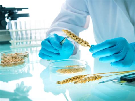 France And Austria Ask Brussels To Develop EU Plant Based Protein Strategy Euractiv