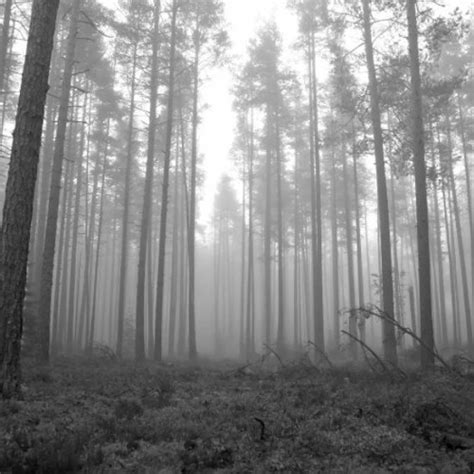 Stream Aestehtic Game Background 📻free Download By Design Education Listen Online For Free On