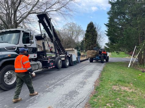Scott Warnick On Linkedin Another Day Of Planting Great Trees Feeling More Like Spring And