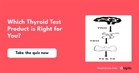 Which Thyroid Test Product Is Right For You