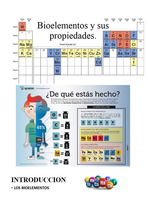 Bioelementos Y Sus Propiedades Pdf Enlace Químico Importar