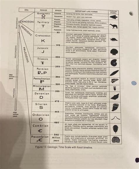 Solved Figure 13 Geologic Time Scale With Fossil