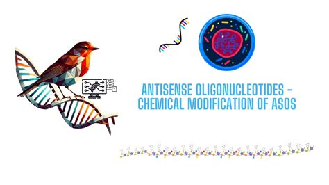 Antisense Oligonucleotides Chemical Modification Of Asos