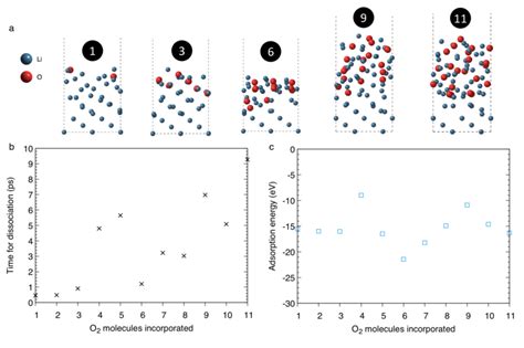 2 A Snapshots Displaying The Progression Of O2 Incorporation Into The Download Scientific