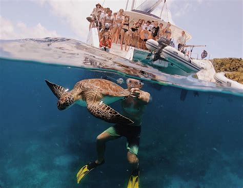 How Teens Can Experience Ecotourism In The Bvi