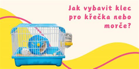 Jak Vybavit Klec Pro Křečka Nebo Morče Vytvořte Jim Příjemný Domov Jofikrmiva Cz