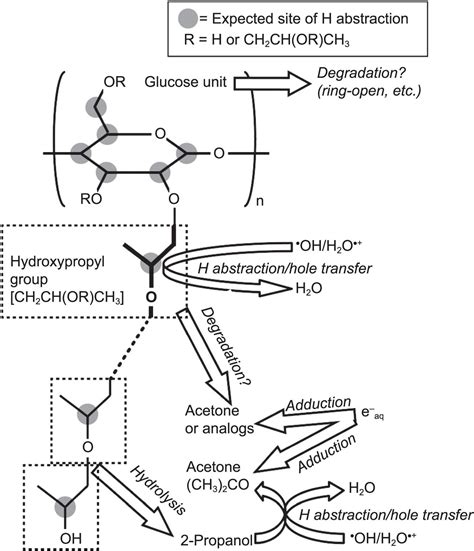 Radiation Induced Chemical Reactions In Hydrogel Of Hydroxypropyl