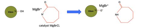 Deactivation By Surface Hydroxyls Of The Catalyst Used For The Download Scientific Diagram