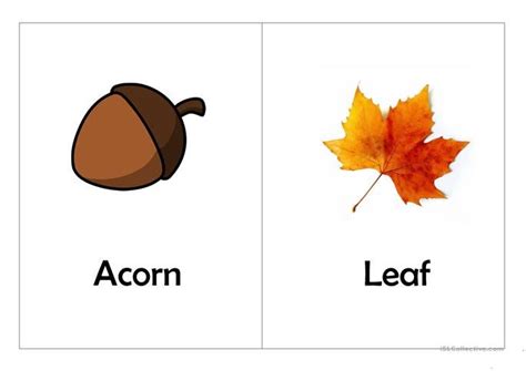 Autumn Fall Flashcards For English Esl Vocabulary