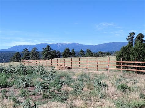 Stephanie Bratcher Southern Colorado Real Estate Brokers Colorado City Co