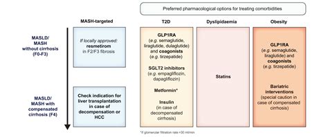 Metabolic Dysfunction Associated Steatotic Liver Disease Diagnosis And Management