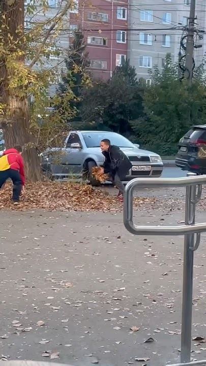 Сравнение цен на кроссовки Ecco. Где выгоднее купить #цены #обувь # ...