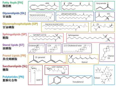 干货分享丨脂质组学入门篇 知乎