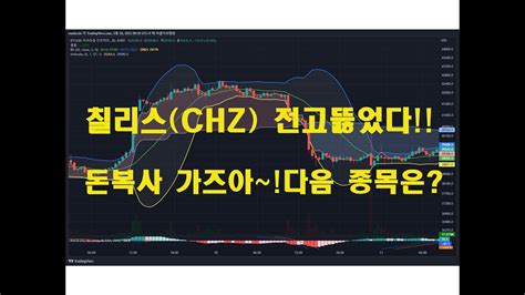 마동석코인 마코 칠리스chz 전고점 뚫었다다음 종목은 비트코인 리플 이더리움 마동석코인 비트코인가이드 마동석 알트코인 Bitcoin 실시간