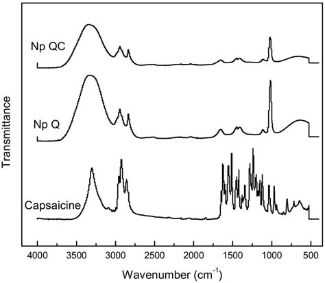 ftir spectra of capsaicin chitosan nanoparticles and capsaicin
