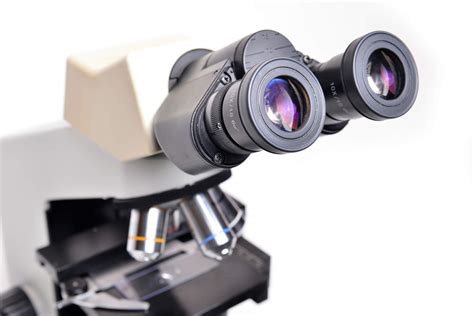 The Top Rated Lims For Core Analytics Labs Third Wave Analytics