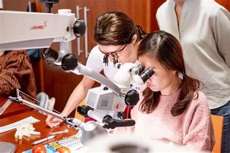 Level 3 Advanced Surgical Techniques