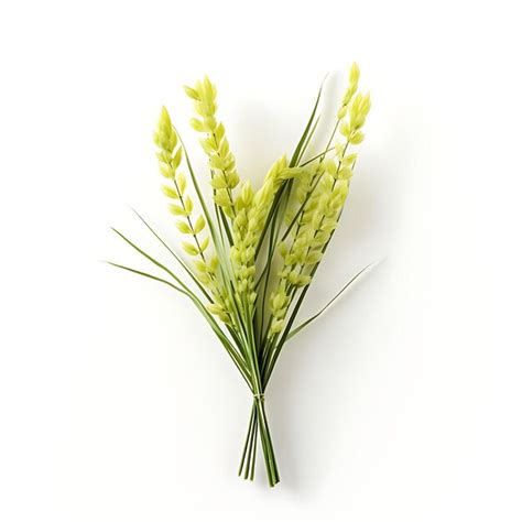 Premium Photo Alamo Switchgrass Yellowgreen A Small Bouquet Popular
