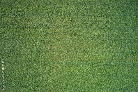 Aerial View Of A Grass Plantation Green Grass Soccer Field Background