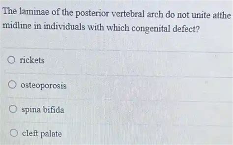 The Laminae Of The Posterior Vertebral Arch Do Not Unite Atthe Midline