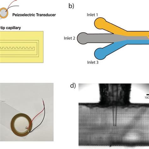 Vibrating Sharp Tip Capillary Device Overview A Device Schematic B