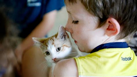 Furry Friends Spca Holds Summer Camp