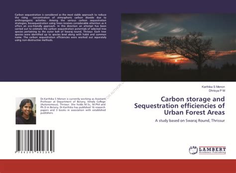 Pdf Carbon Storage And Sequestration Efficiencies Of Urban Forest Areas