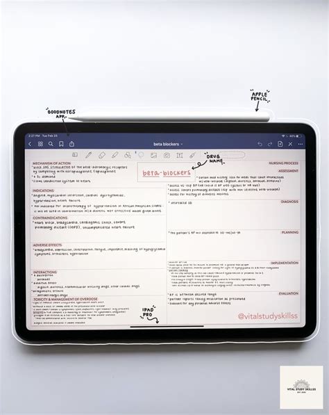 Beta Blockers Study Notes Study Notes Babe Organization Notes Medical Babe Essentials