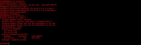 Cisco OSPF Routing Protocol Configuration Noel Alvarez