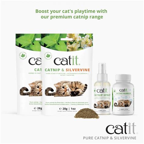 Catit Catnip And Silvervine Powder For Cats 28g 44774 Starpet Distributor Of Pet Care