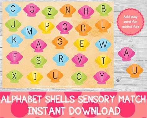 Alphabet Shells Sensory Match Alphabet Shells Look And Find Etsy