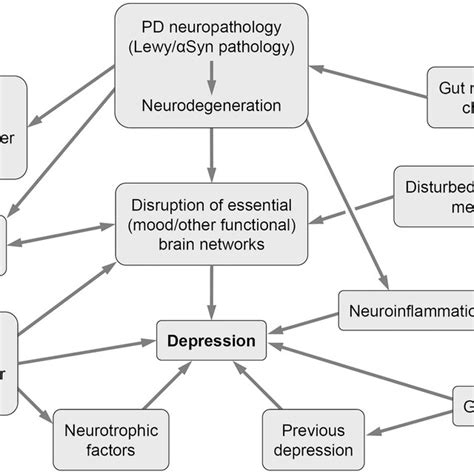 Some Essentialhypothetical Factors Influencing The Pathogenesis Of